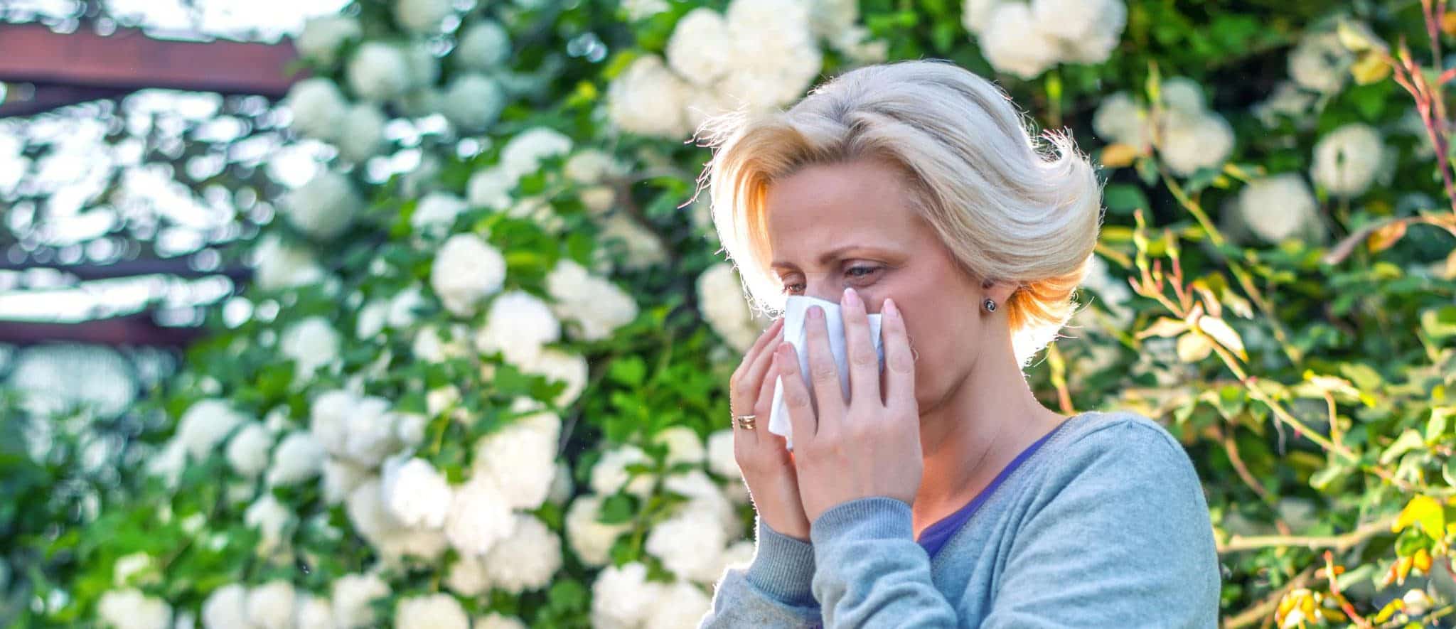 Do You Have These VA Allergy Symptoms? - ENT Specialists Of Northern ...